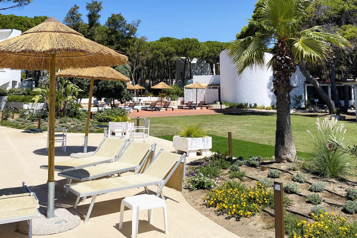 Galleria fotografica del Mare Pineta, hotel 3 stelle sul mare a Santa ...